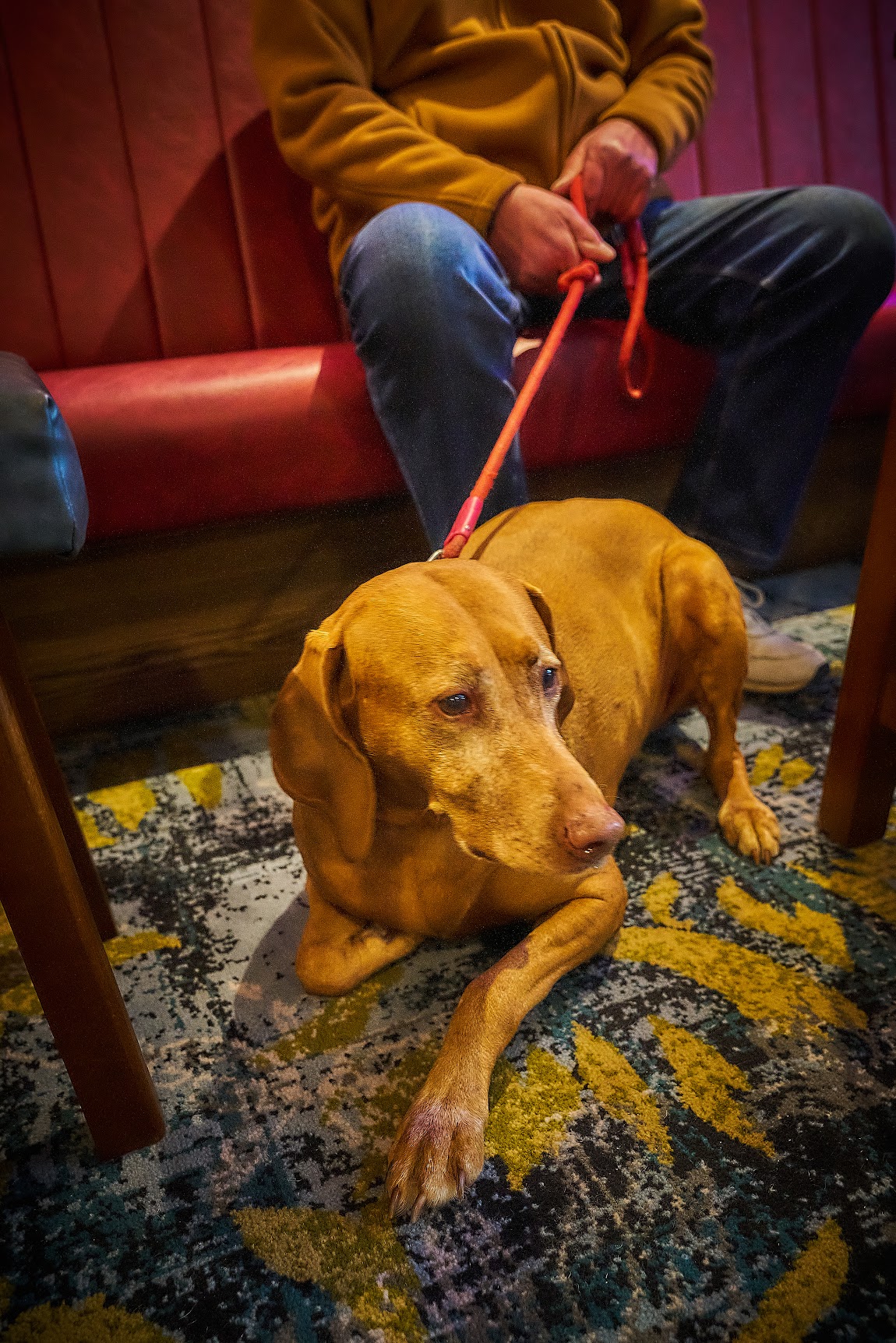 King Street Social Tap Opens in Stroud! – Amber Taverns